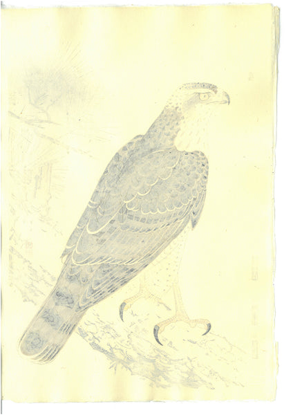 Fukuda Suiko - Taka (Hawk) - Free Shipping – Magnificent Items from ...