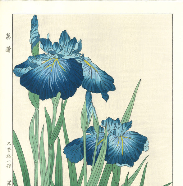 Osuga Yuichi - Shoubu (Japanese Iris) - Free Shipping – Magnificent ...